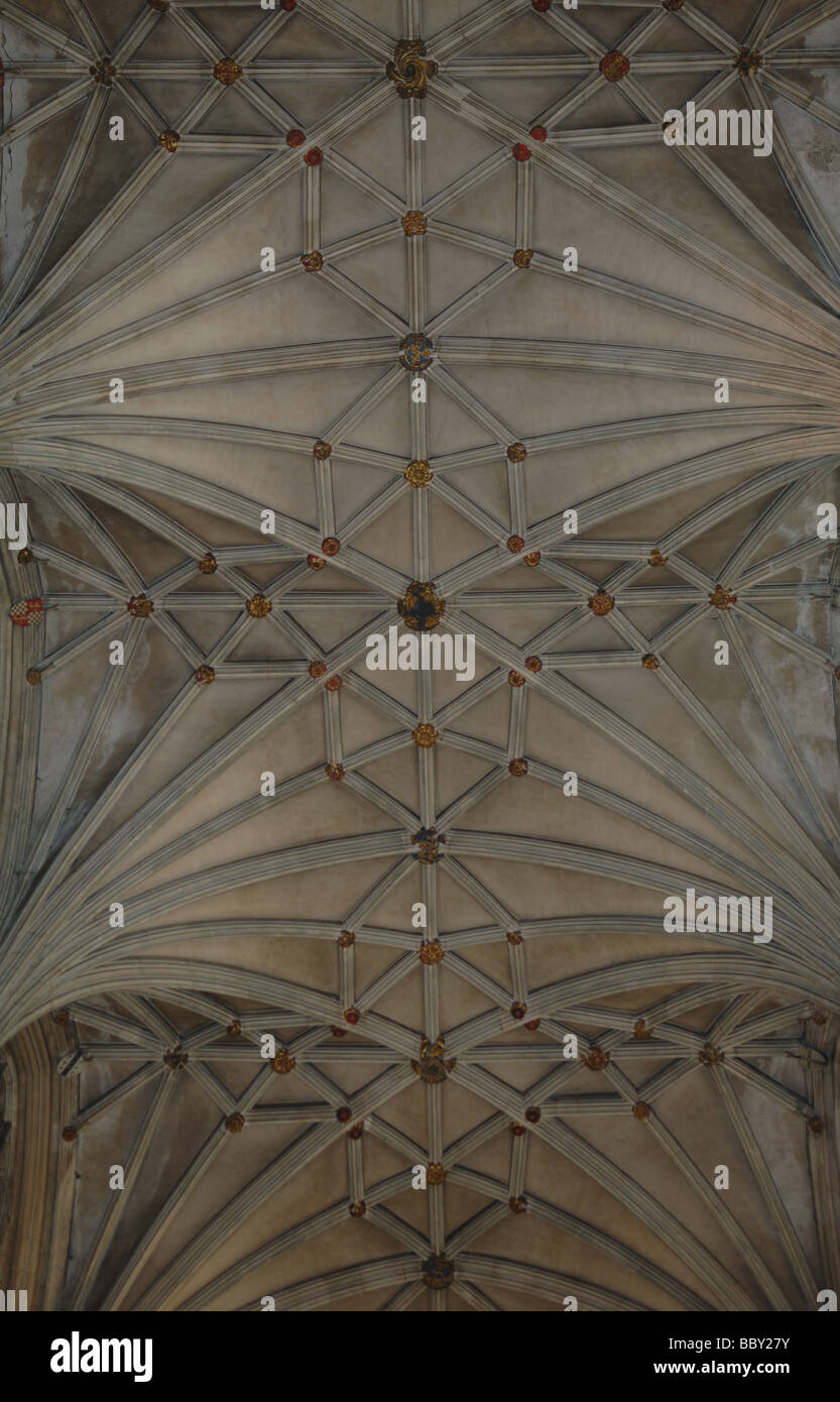 Ceiling inside a cathedral Stock Photo - Alamy
