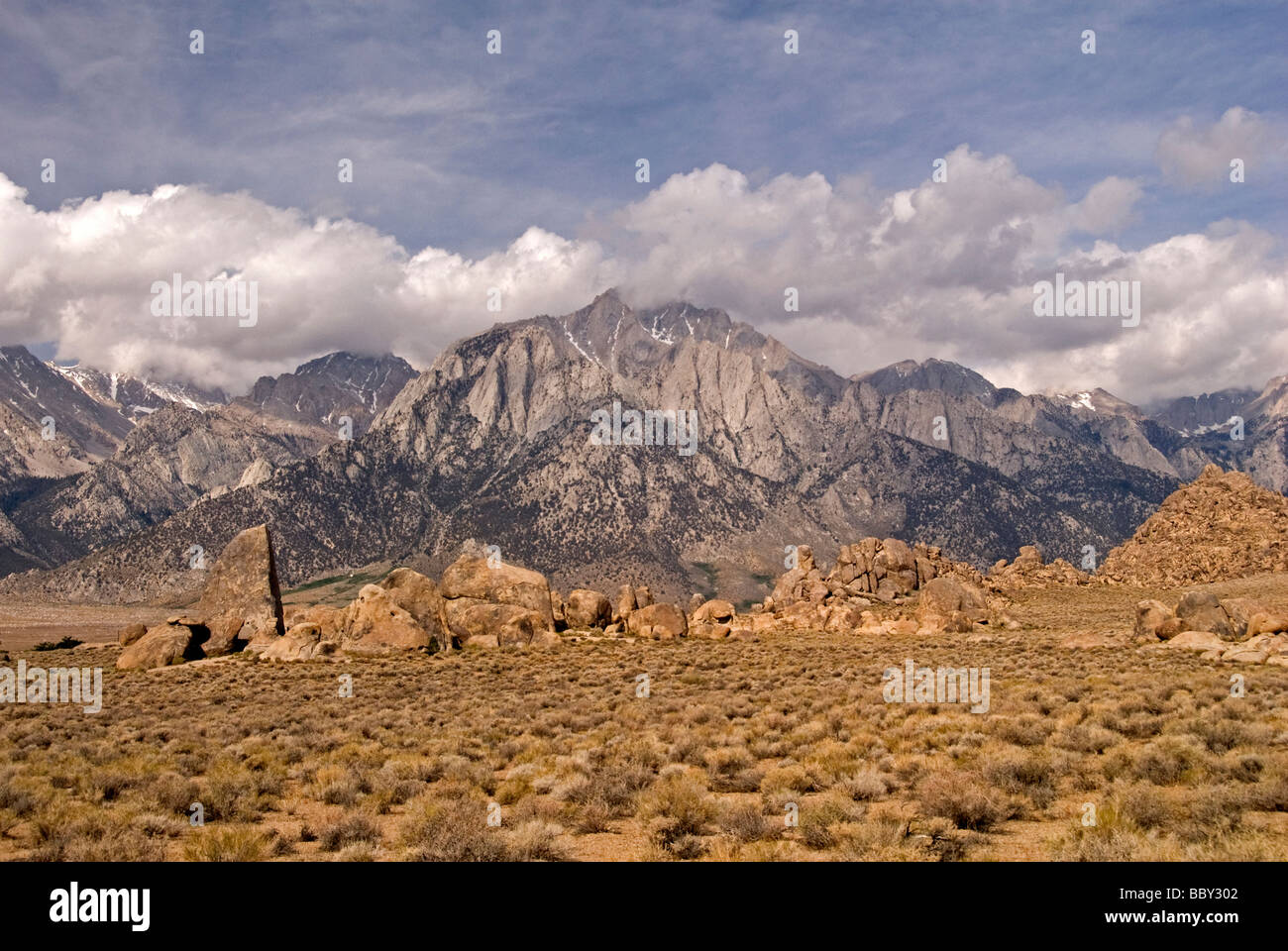 Whitney alabama hi-res stock photography and images - Alamy