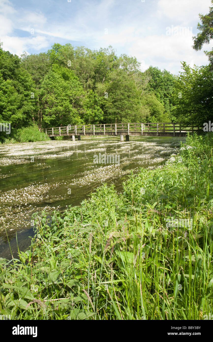 River kennet hi-res stock photography and images - Alamy
