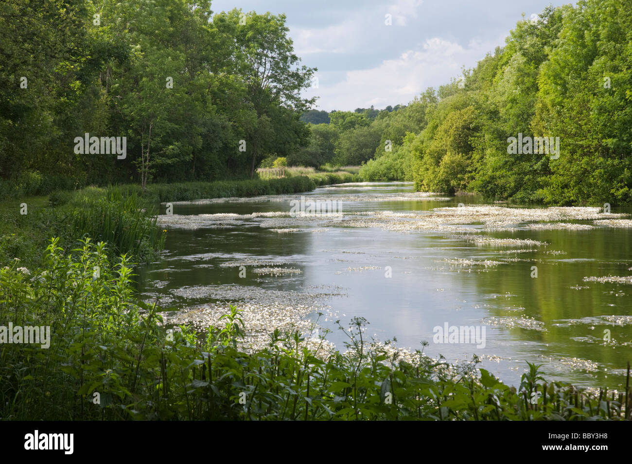 River kennet hungerford hi-res stock photography and images - Alamy