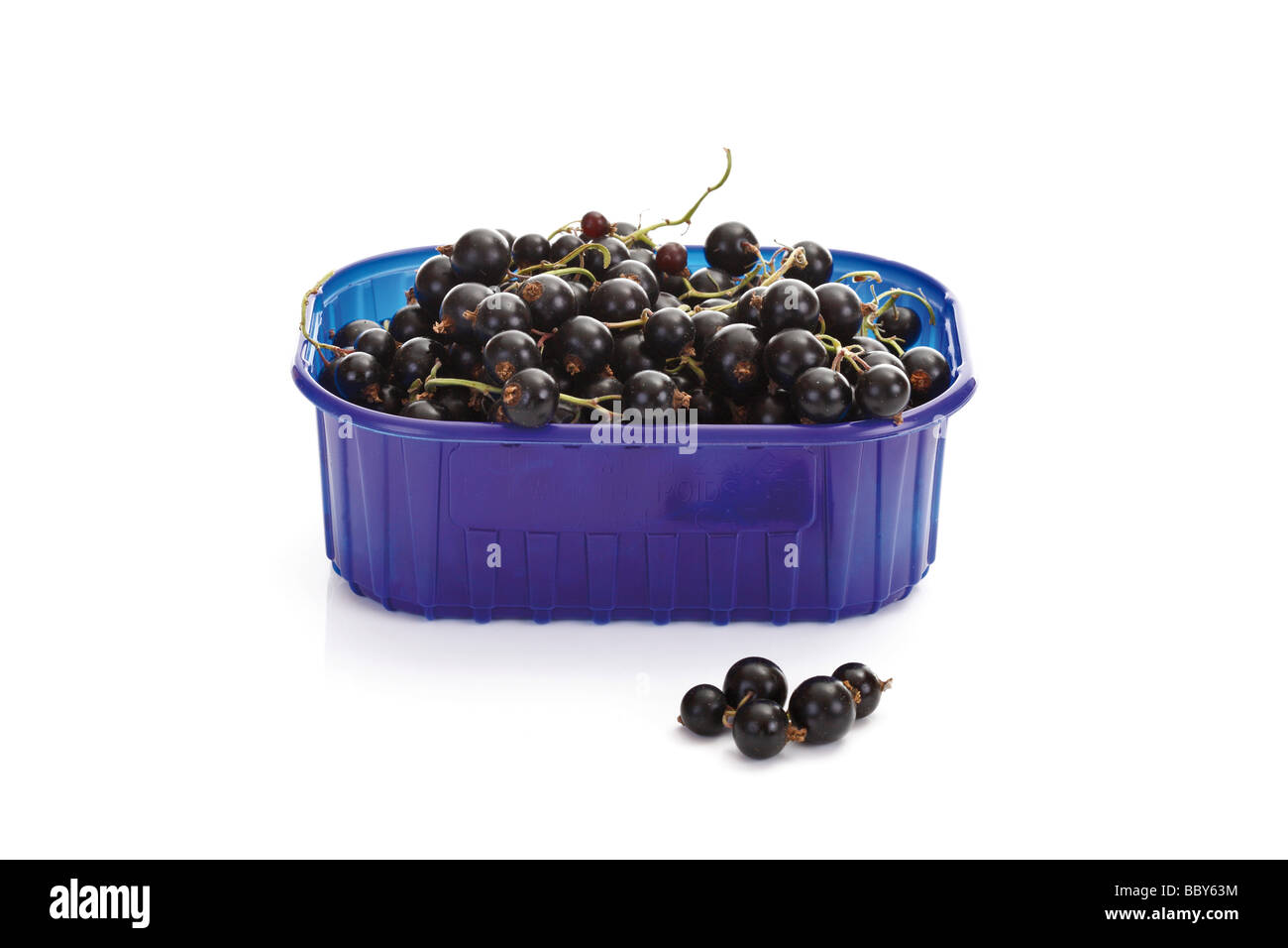 Black currants in a plastic box Stock Photo - Alamy