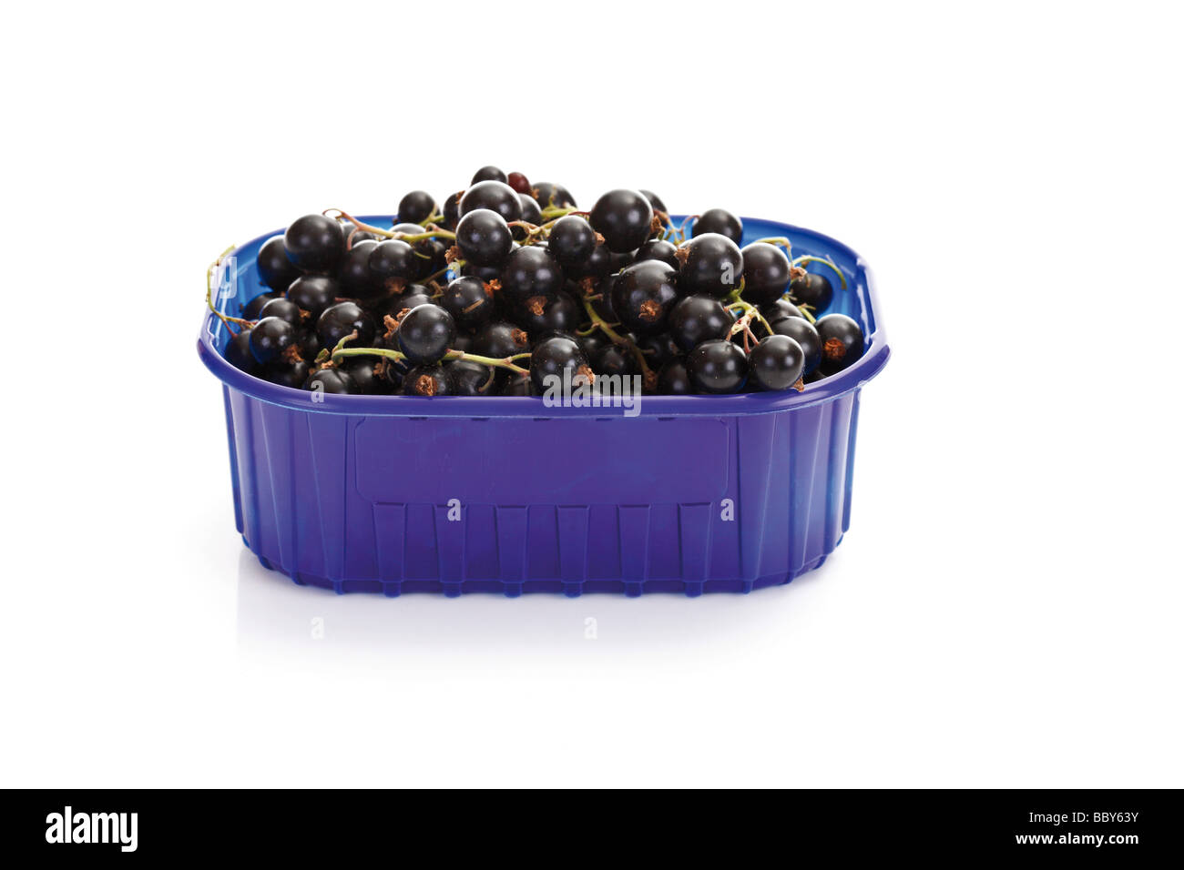 Inside a small box of a studio photo hi-res stock photography and ...