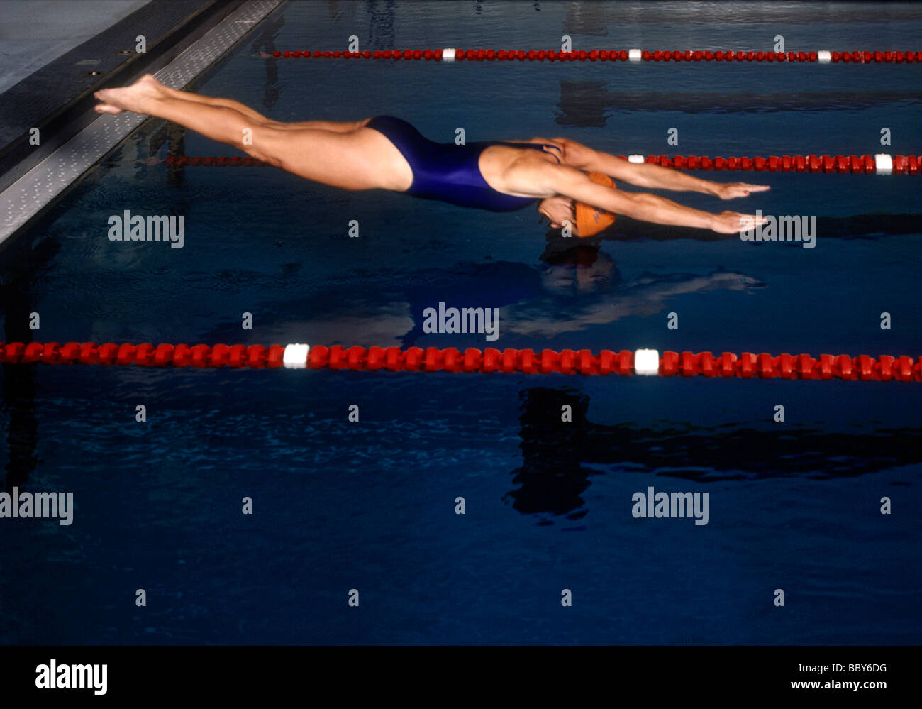 Woman practices dives for competitive swimming Stock Photo - Alamy