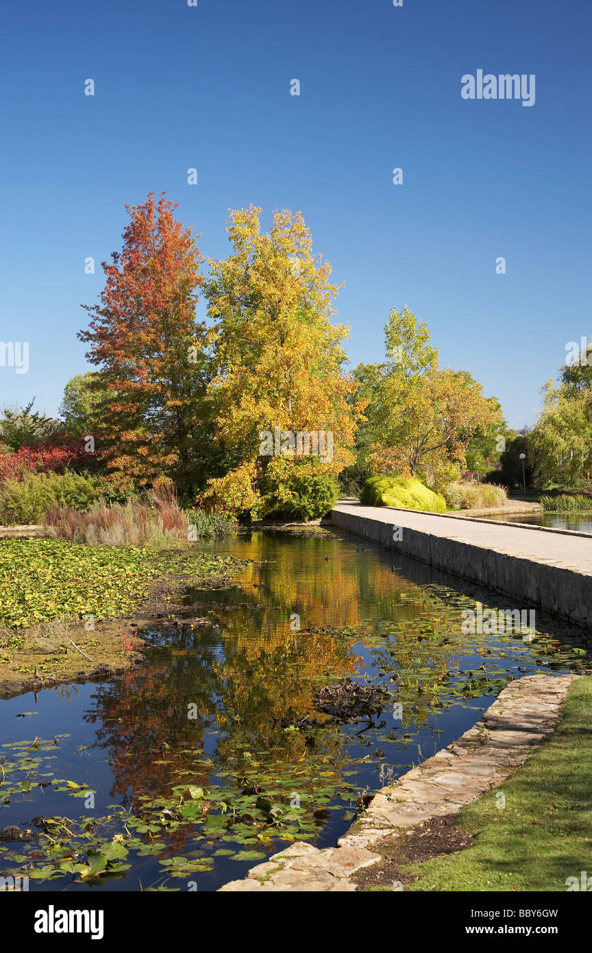 Autumn Colour and Bridge across Nerang Pool Commonwealth Park Canberra ...