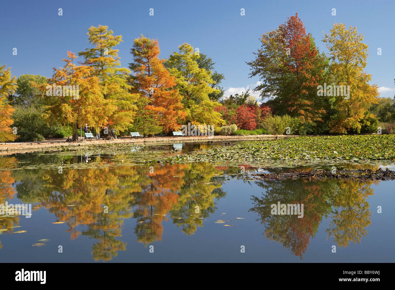 Nerang pond hi-res stock photography and images - Alamy