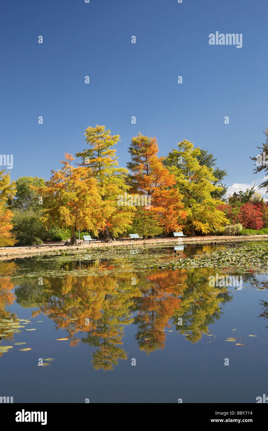 Autumn Colour Reflected in Nerang Pool Commonwealth Park Canberra ACT ...