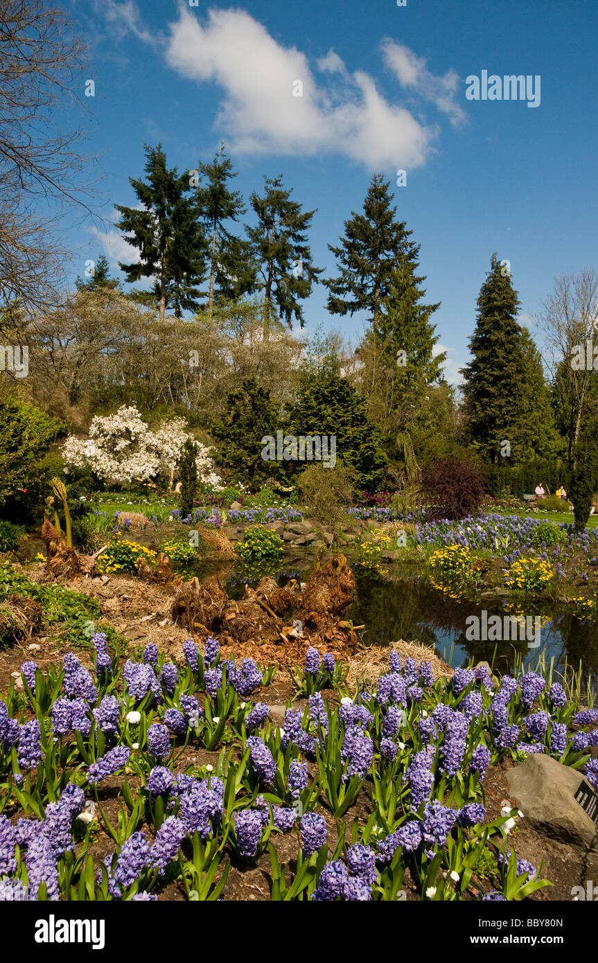Queen elizabeth park vancouver hi-res stock photography and images - Alamy