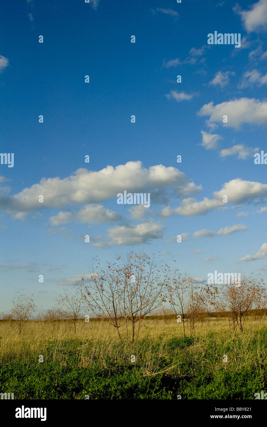 Spring Landscape and Brilliant Sky in North Texas Stock Photo - Alamy