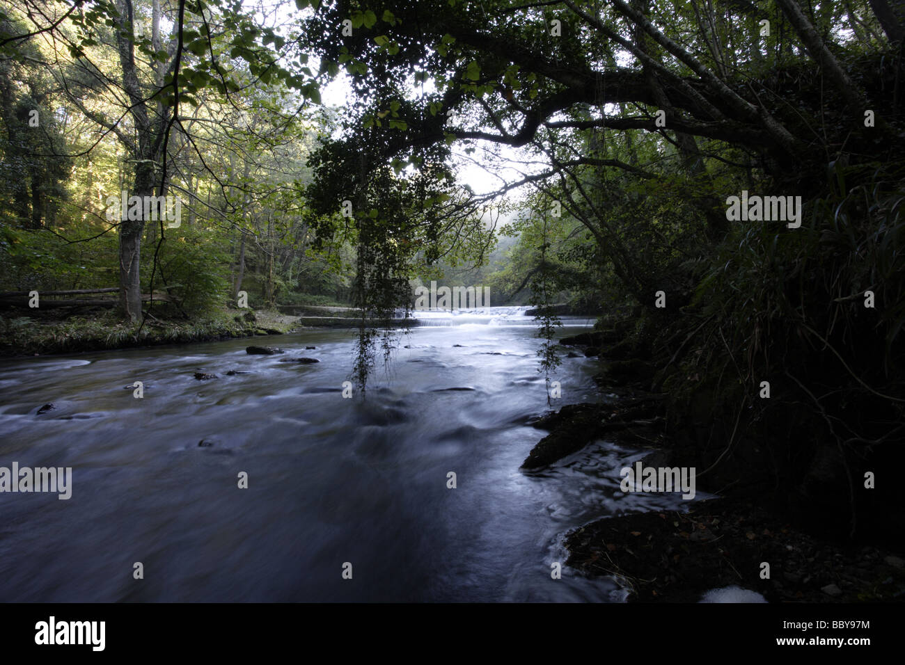 River Camel, Dunmere Stock Photo - Alamy