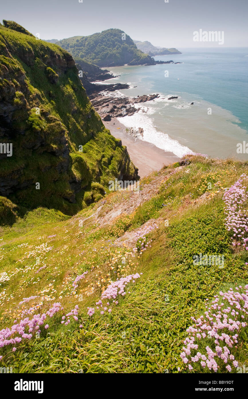 The North Devon coast near Combe Martin UK Stock Photo - Alamy