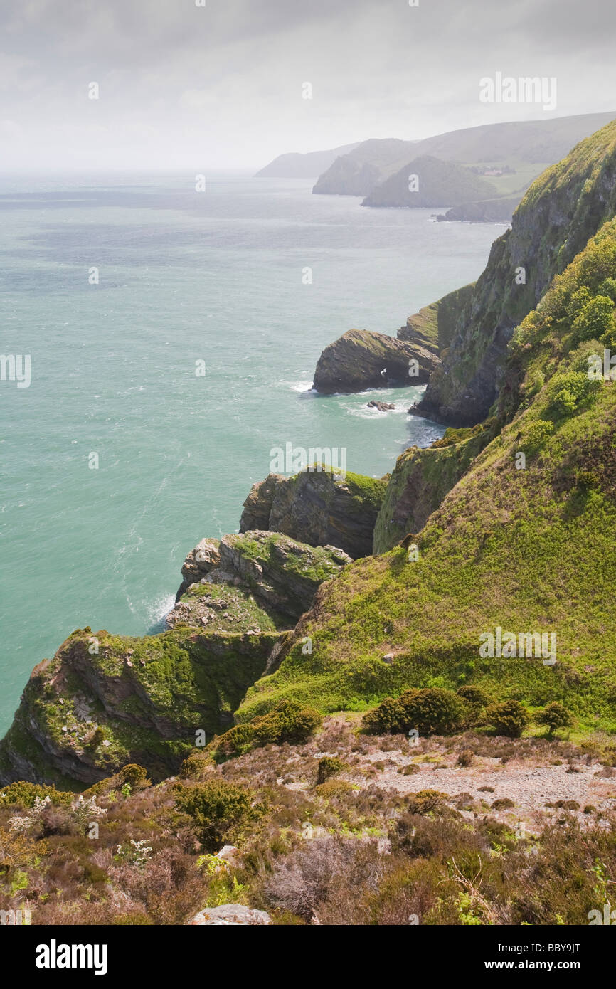 Woody bay hi-res stock photography and images - Alamy