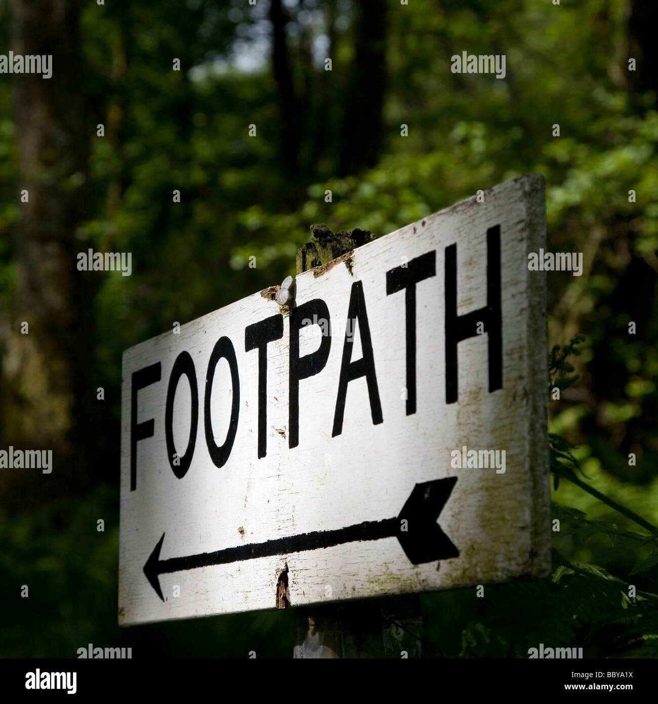 footpath sign in forest Stock Photo - Alamy