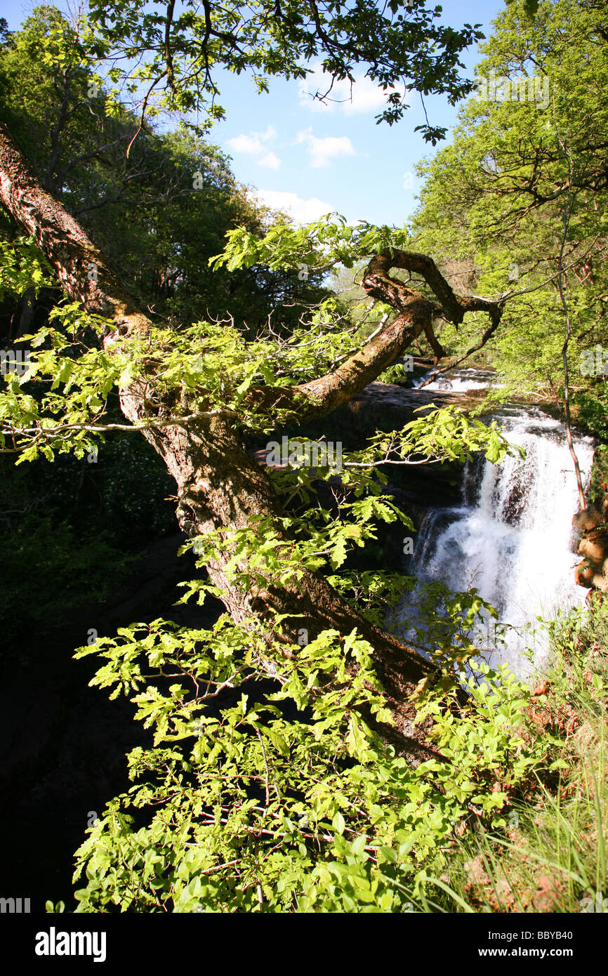 The Sqwd-Clun-Gwyn waterfall on the River Mellte near the village of ...