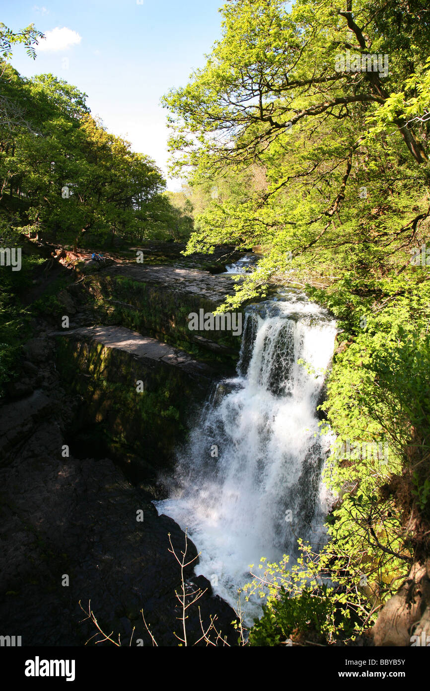 The Sqwd-Clun-Gwyn waterfall on the River Mellte near the village of ...