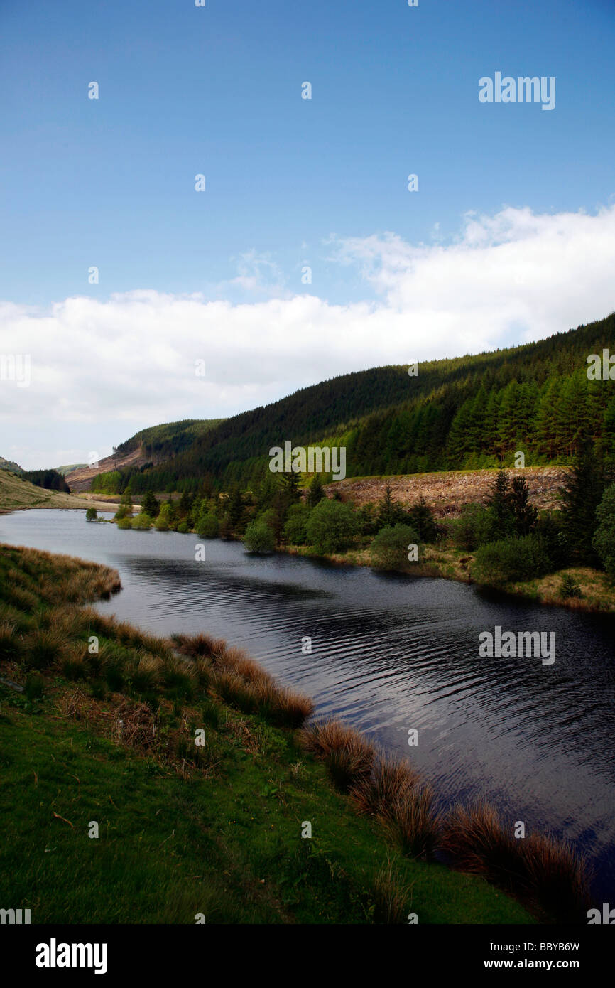View towards the source of the Llyn Brianne Reservoir in the River Towy ...