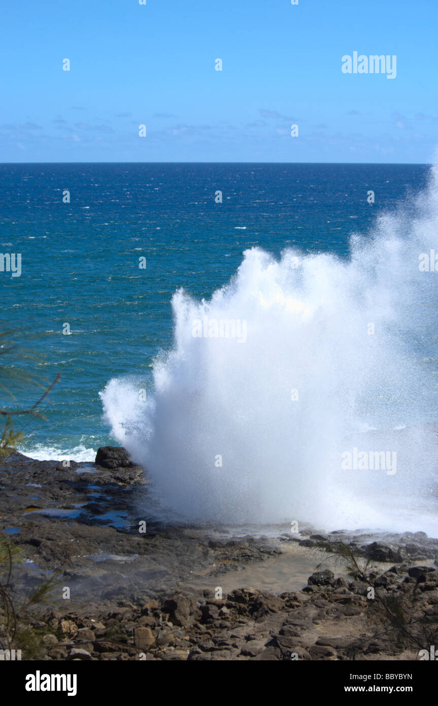 Spouting hi-res stock photography and images - Alamy