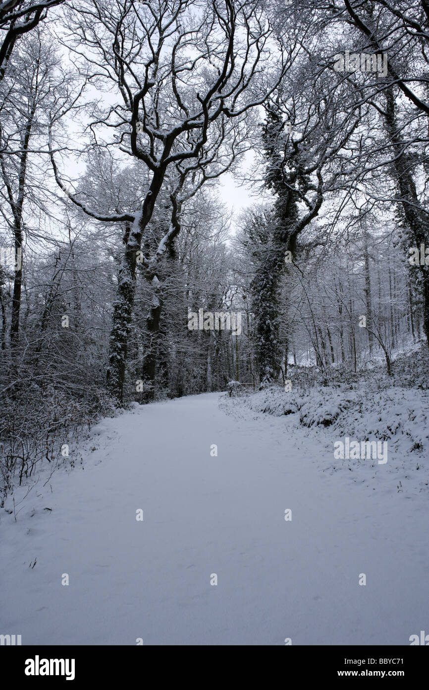 Dunmere hi-res stock photography and images - Alamy