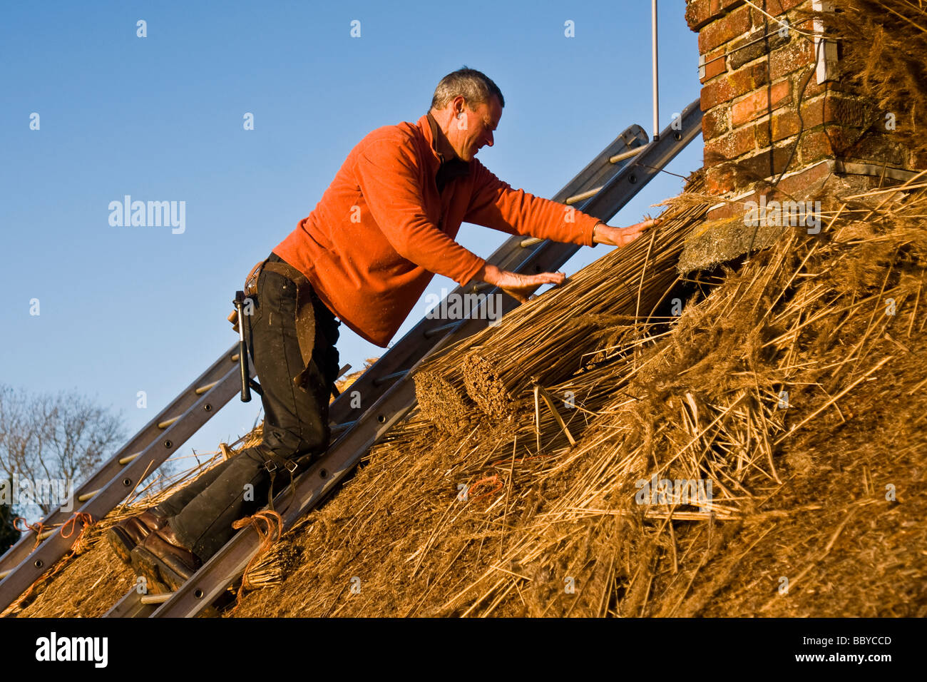 A thatcher at work in Dorset, England Stock Photo - Alamy