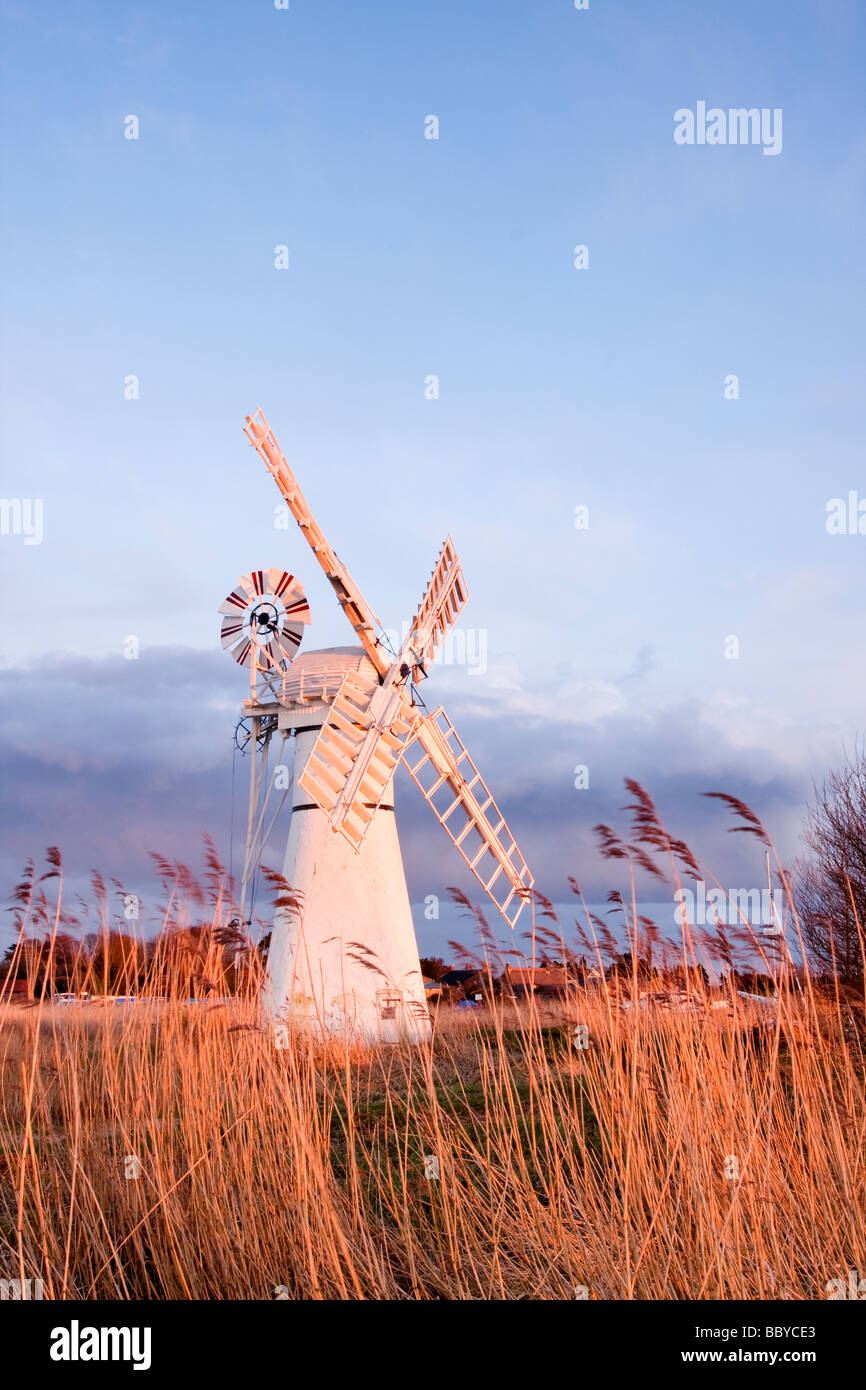 Norfolk broads national park hi-res stock photography and images - Alamy