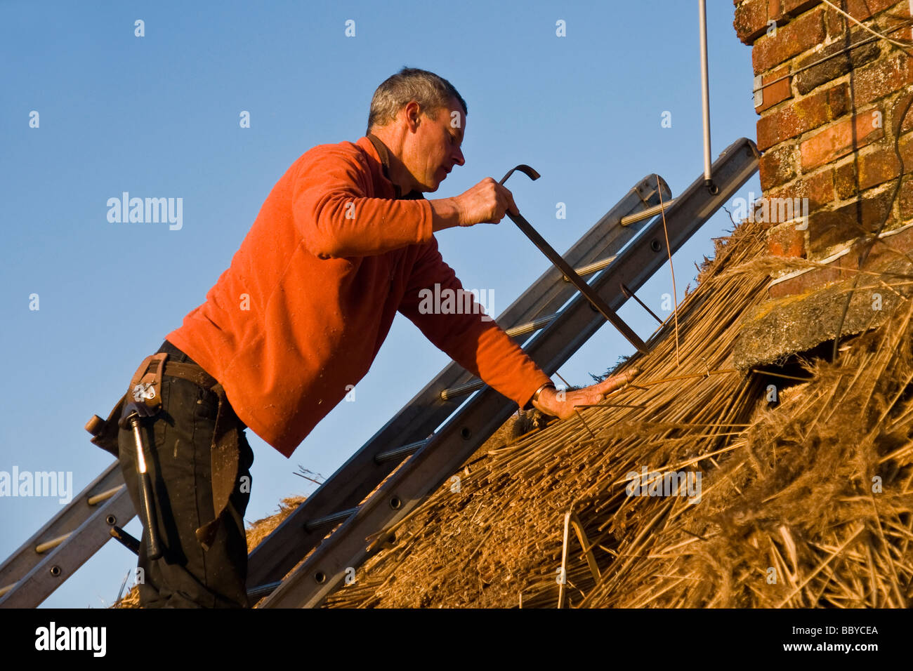 Thatcher at work england hi-res stock photography and images - Alamy