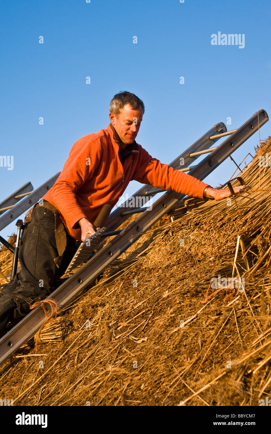A thatcher at work in Dorset, UK Stock Photo - Alamy