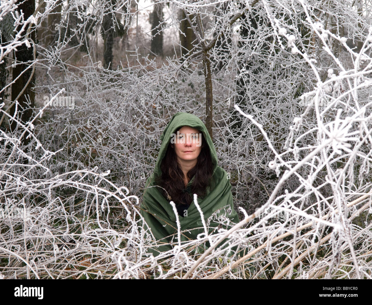 Elven hi-res stock photography and images - Alamy