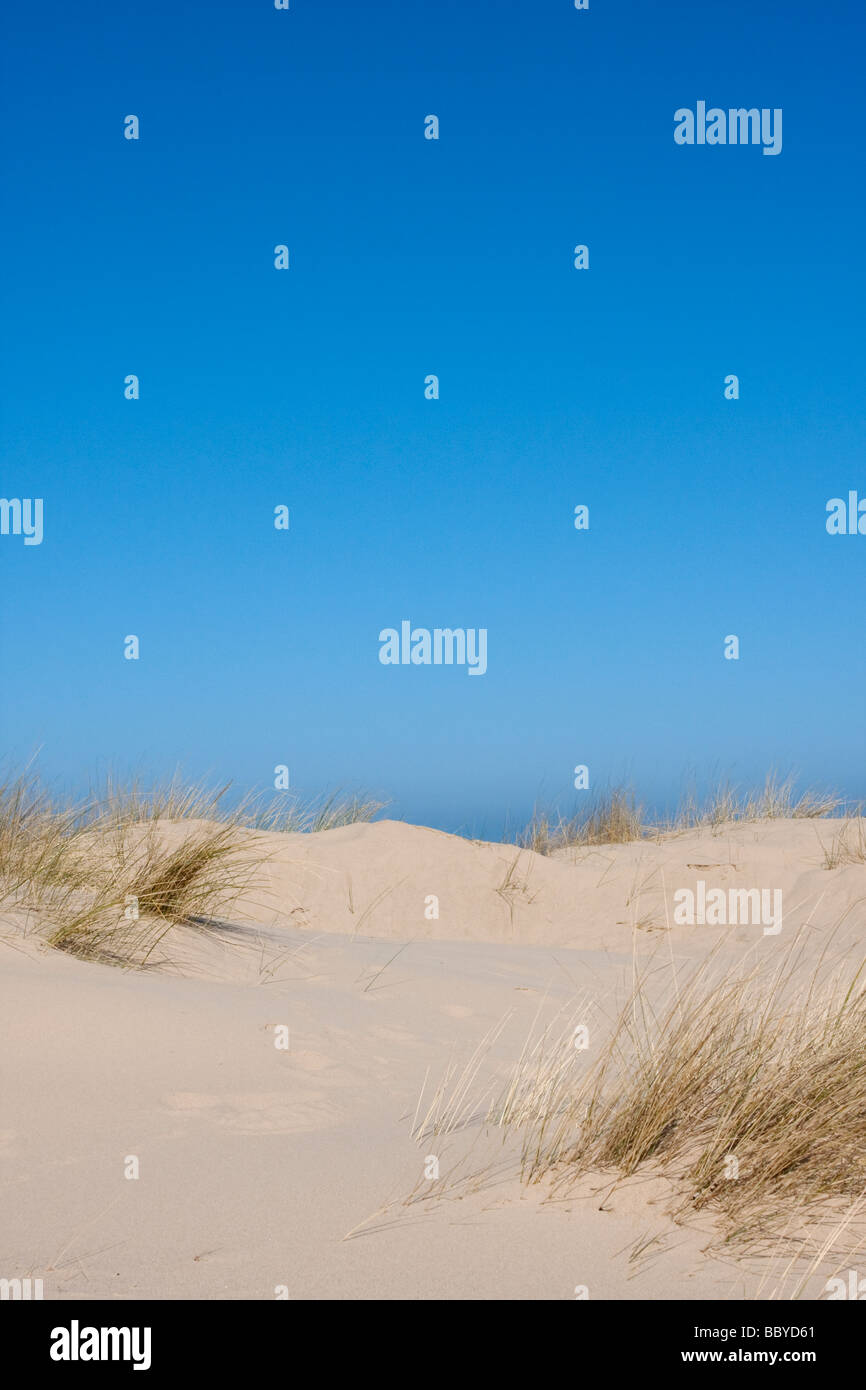 Blue dunes hi-res stock photography and images - Alamy