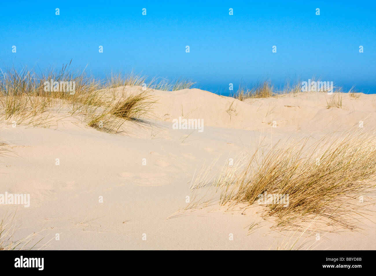Blue sky and sand dunes at Sea Palling on the Norfolk Coast Stock Photo ...