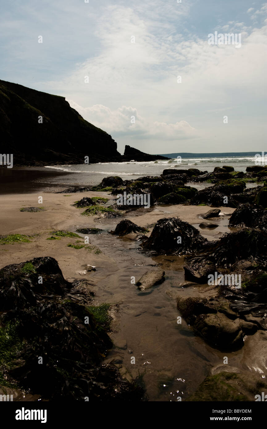 Nolton High Resolution Stock Photography and Images - Alamy