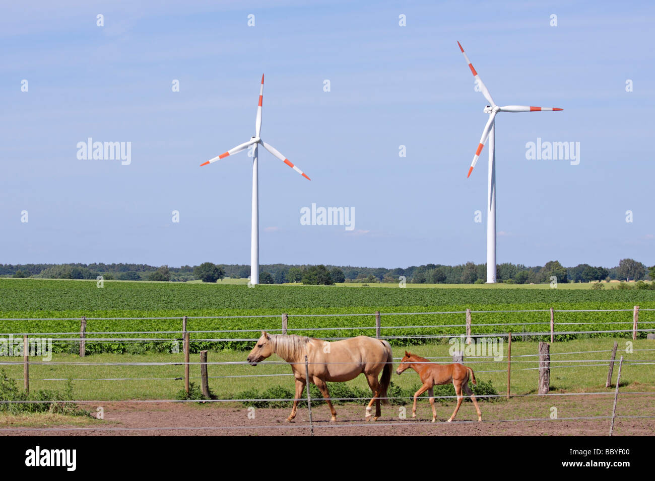 Wind energy plants hi-res stock photography and images - Alamy