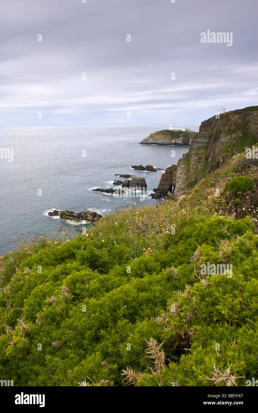 View to South Stack Lighthouse Anglesey Wales Stock Photo - Alamy