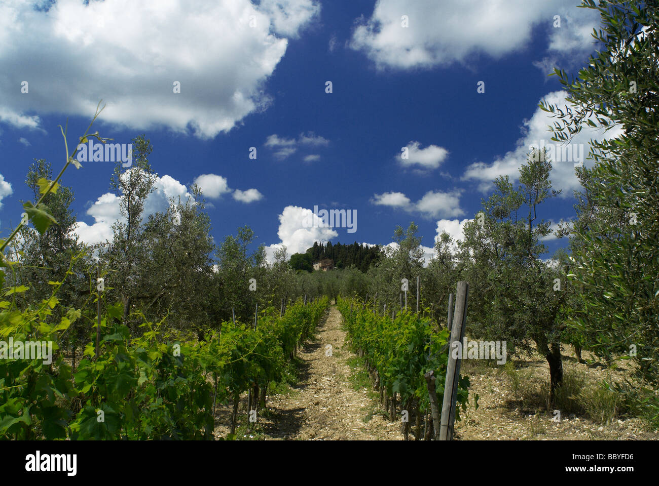 Tuscany images hi-res stock photography and images - Alamy