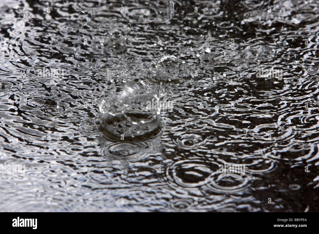 Paintings Rain Splashing In Puddles