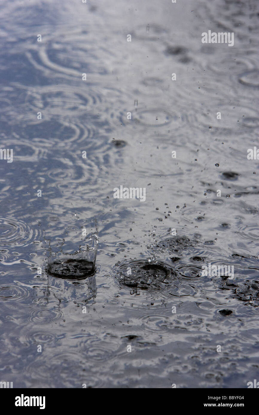 raindrops splashing in a puddle pool of water uk summer Stock Photo - Alamy