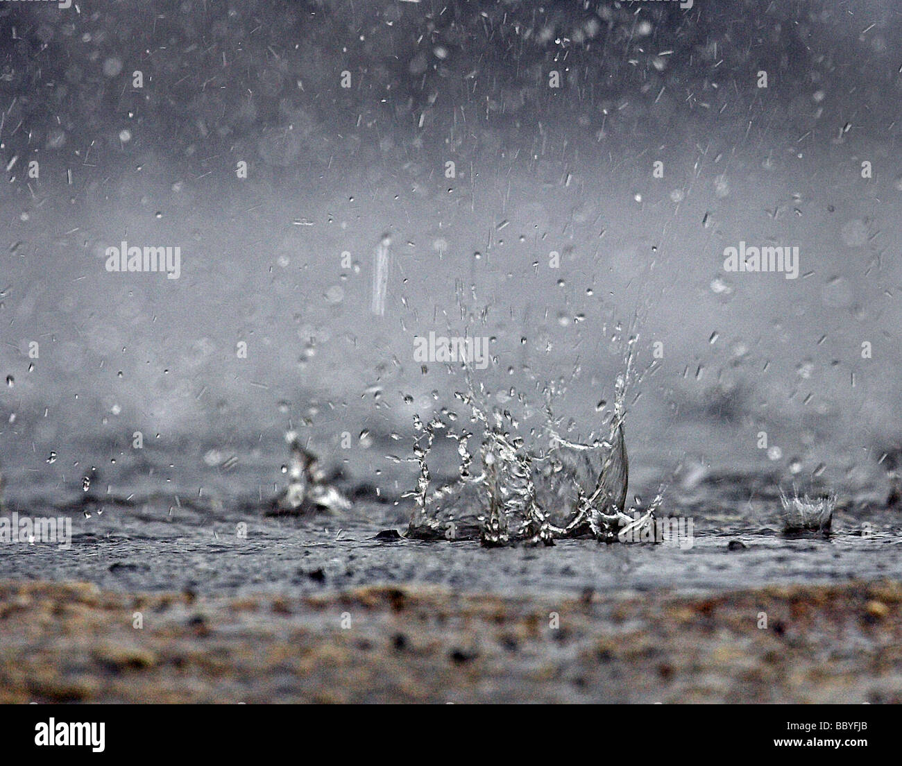 Rain drops splashing down on the ground in a puddle Stock Photo - Alamy Rain drops splashing down on the ground in a puddle Stock Photo - Alamy
