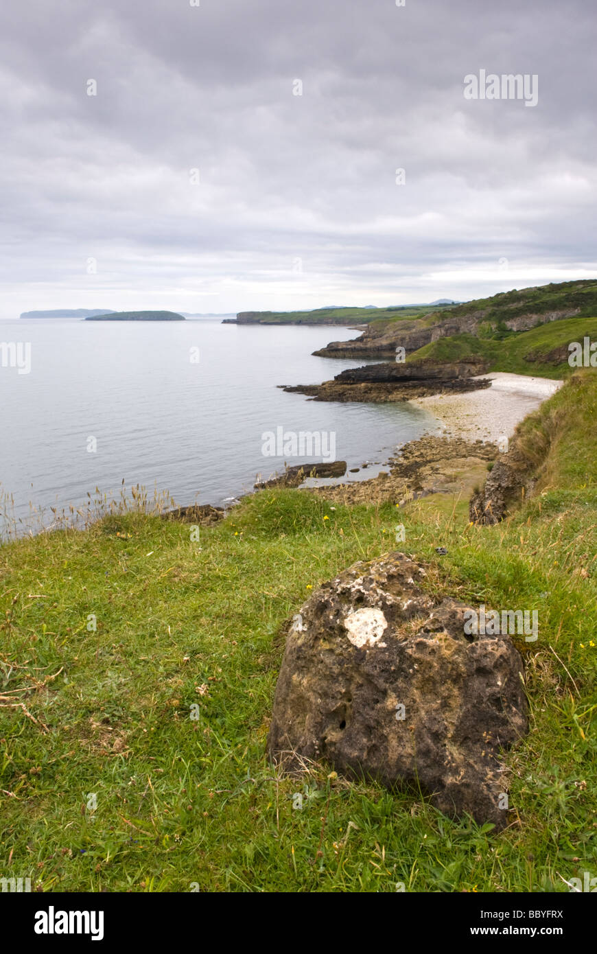 Puffin island anglesey hi-res stock photography and images - Alamy