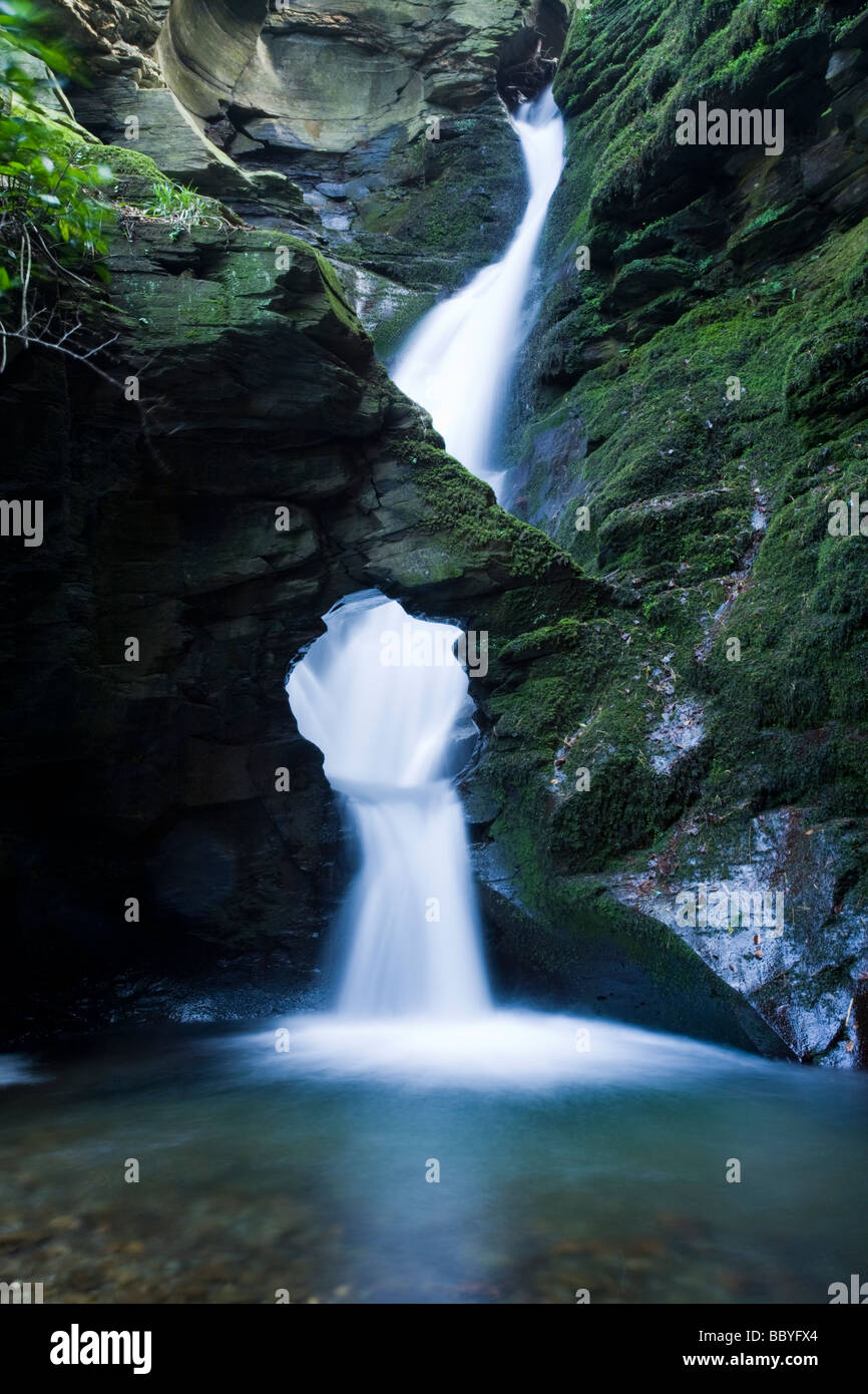 St Nectans Glen waterfall Trethevey Cornwall Stock Photo - Alamy