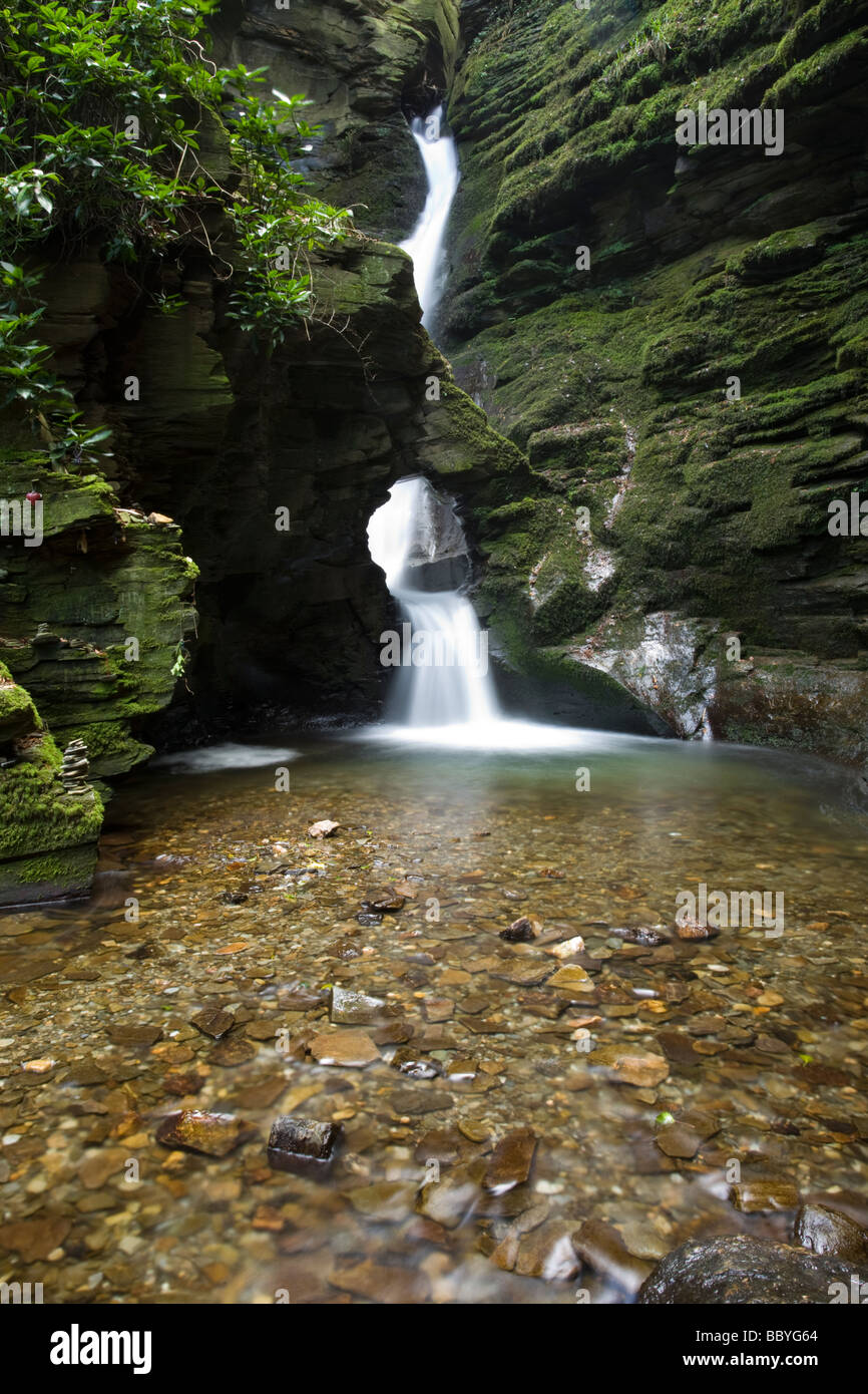 St Nectans Glen waterfall Trethevey Cornwall Stock Photo - Alamy