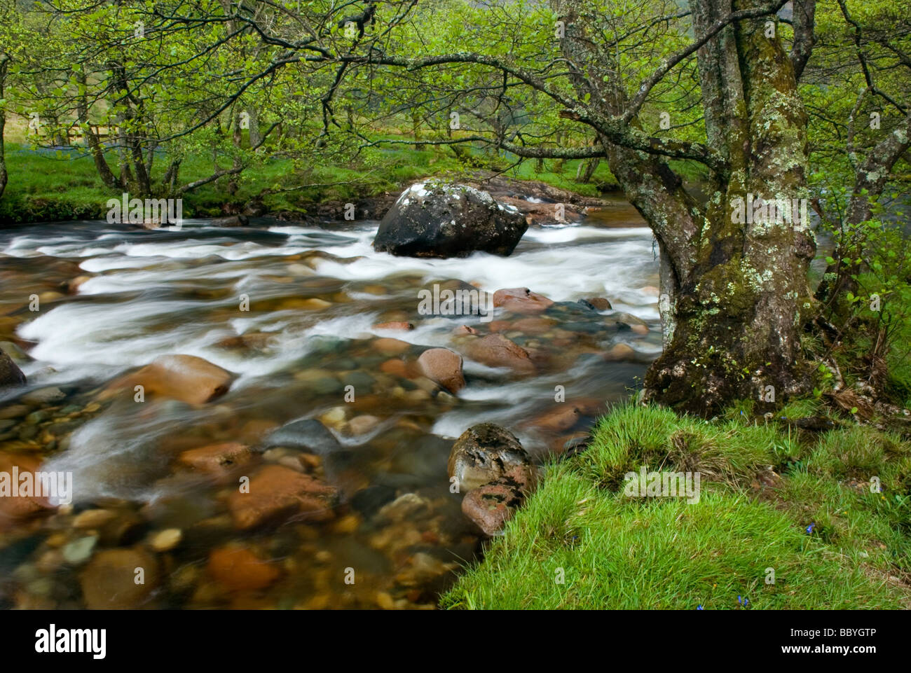 The River Nevis Glen Nevis Scotland Stock Photo - Alamy