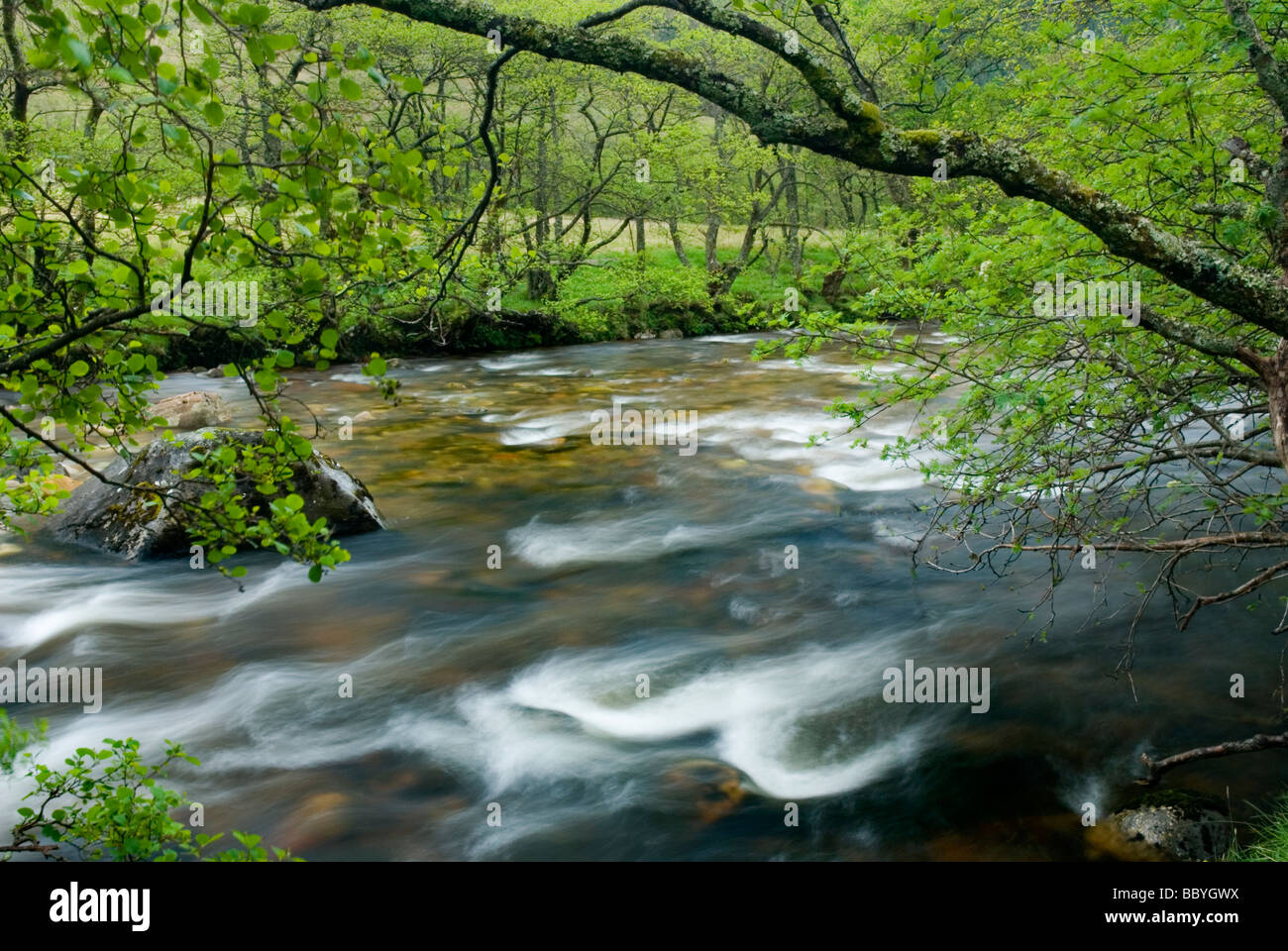 The River Nevis Glen Nevis Scotland Stock Photo - Alamy