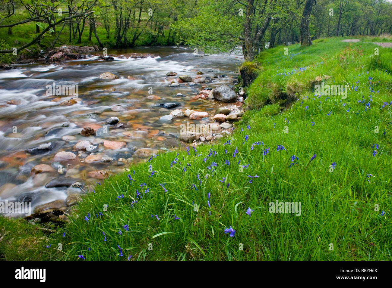 The River Nevis Glen Nevis Scotland Stock Photo - Alamy