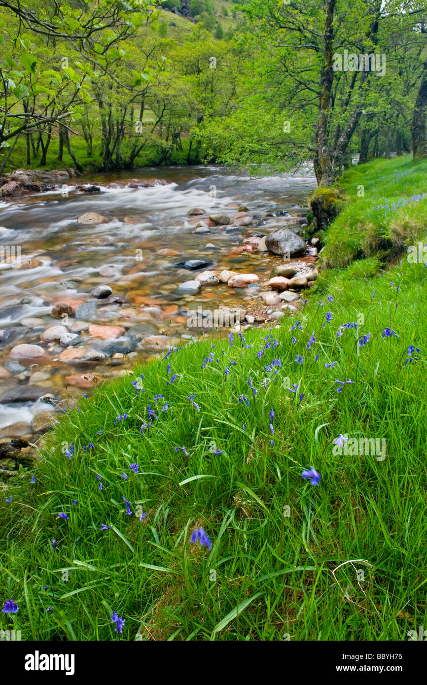 The River Nevis Glen Nevis Scotland Stock Photo - Alamy