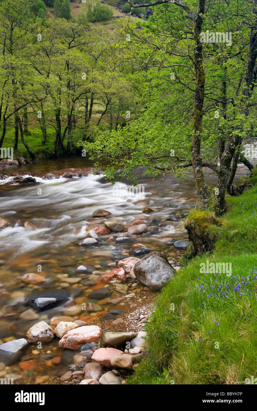 The River Nevis Glen Nevis Scotland Stock Photo - Alamy
