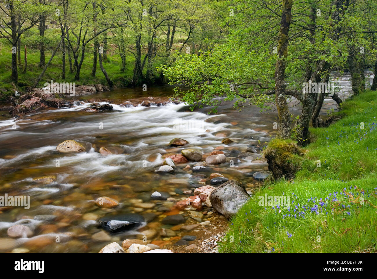 The River Nevis Glen Nevis Scotland Stock Photo - Alamy