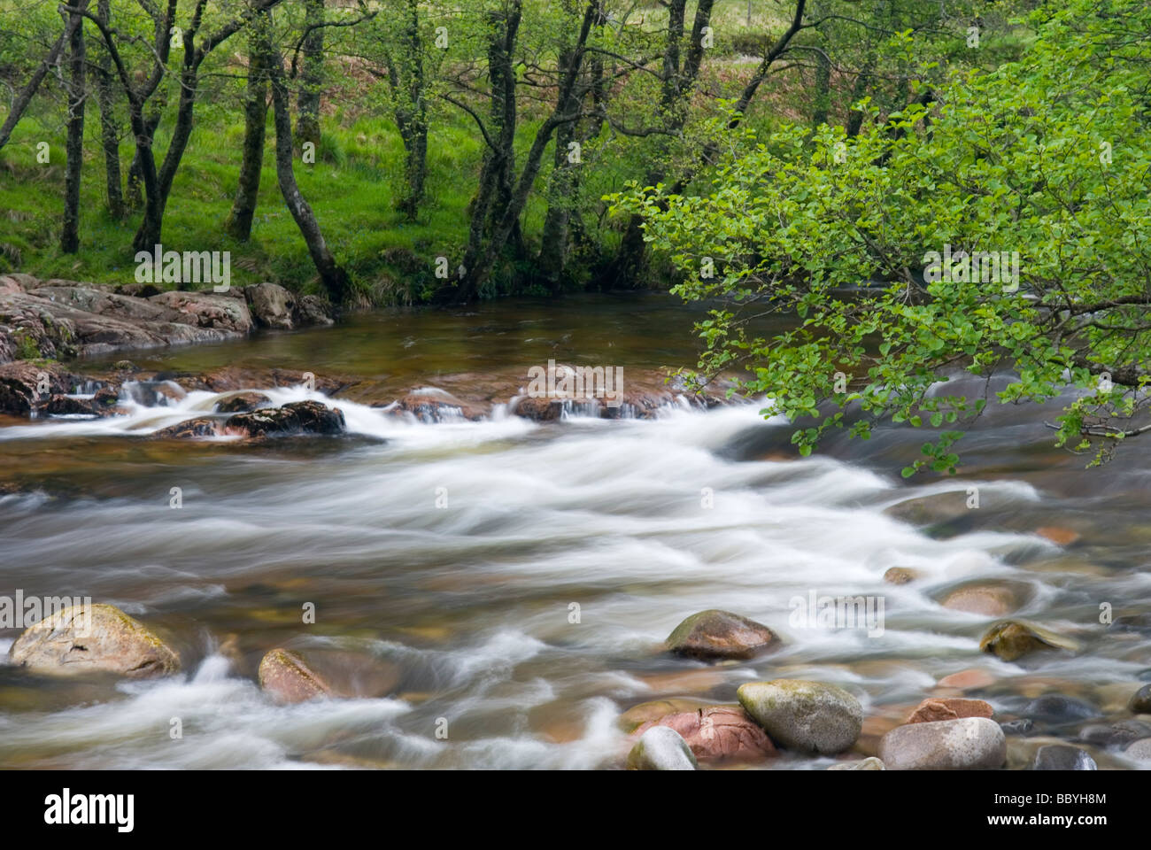 The River Nevis Glen Nevis Scotland Stock Photo - Alamy