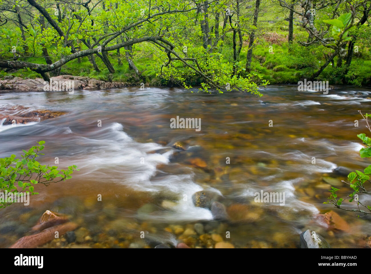 The River Nevis Glen Nevis Scotland Stock Photo - Alamy