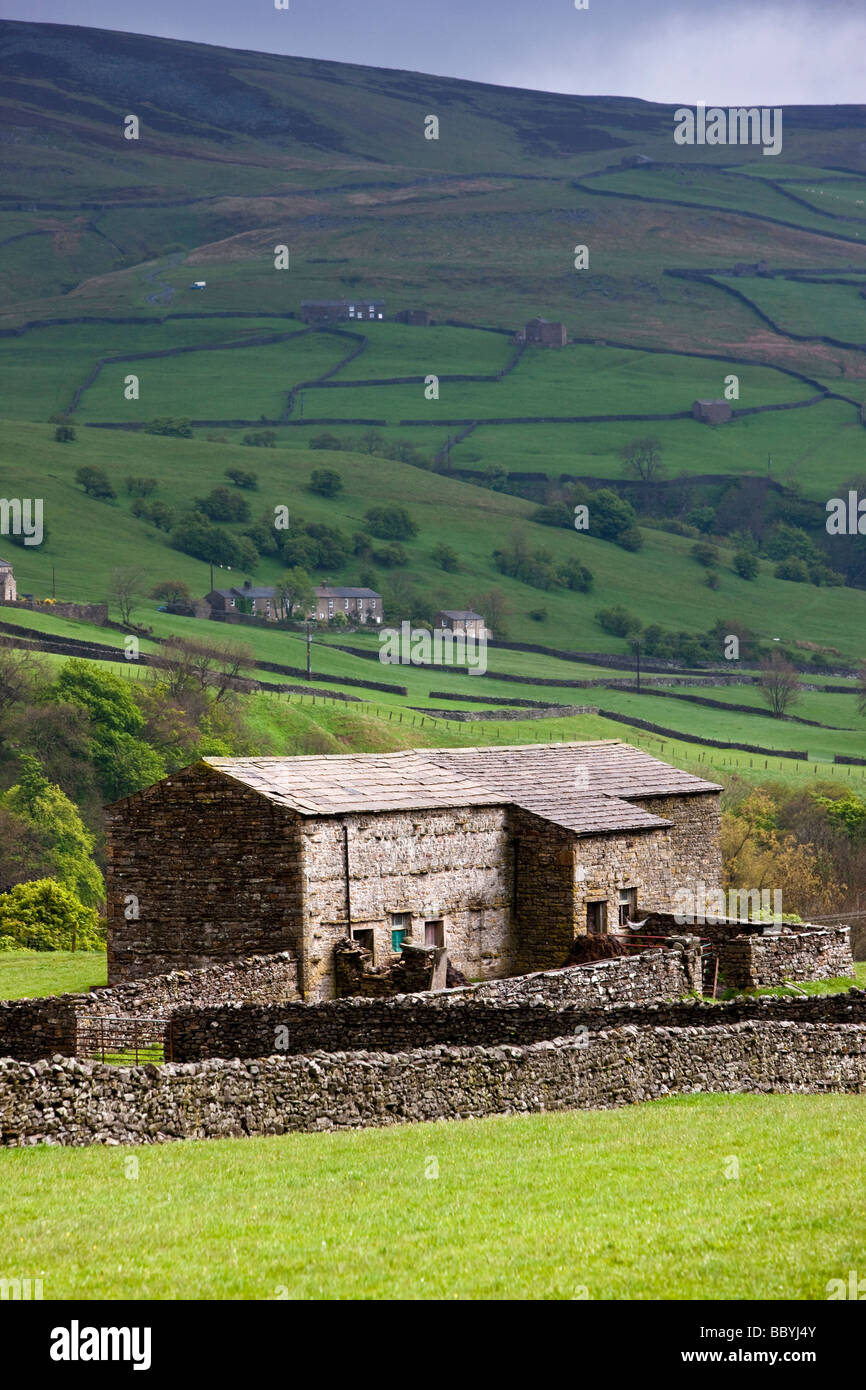 Stone Barn Swaledale near Crowtrees Muker Swaledale Yorkshire Dales ...