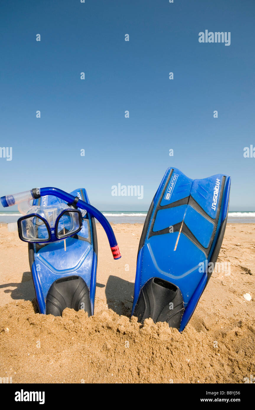 Flippers hi-res stock photography and images - Alamy