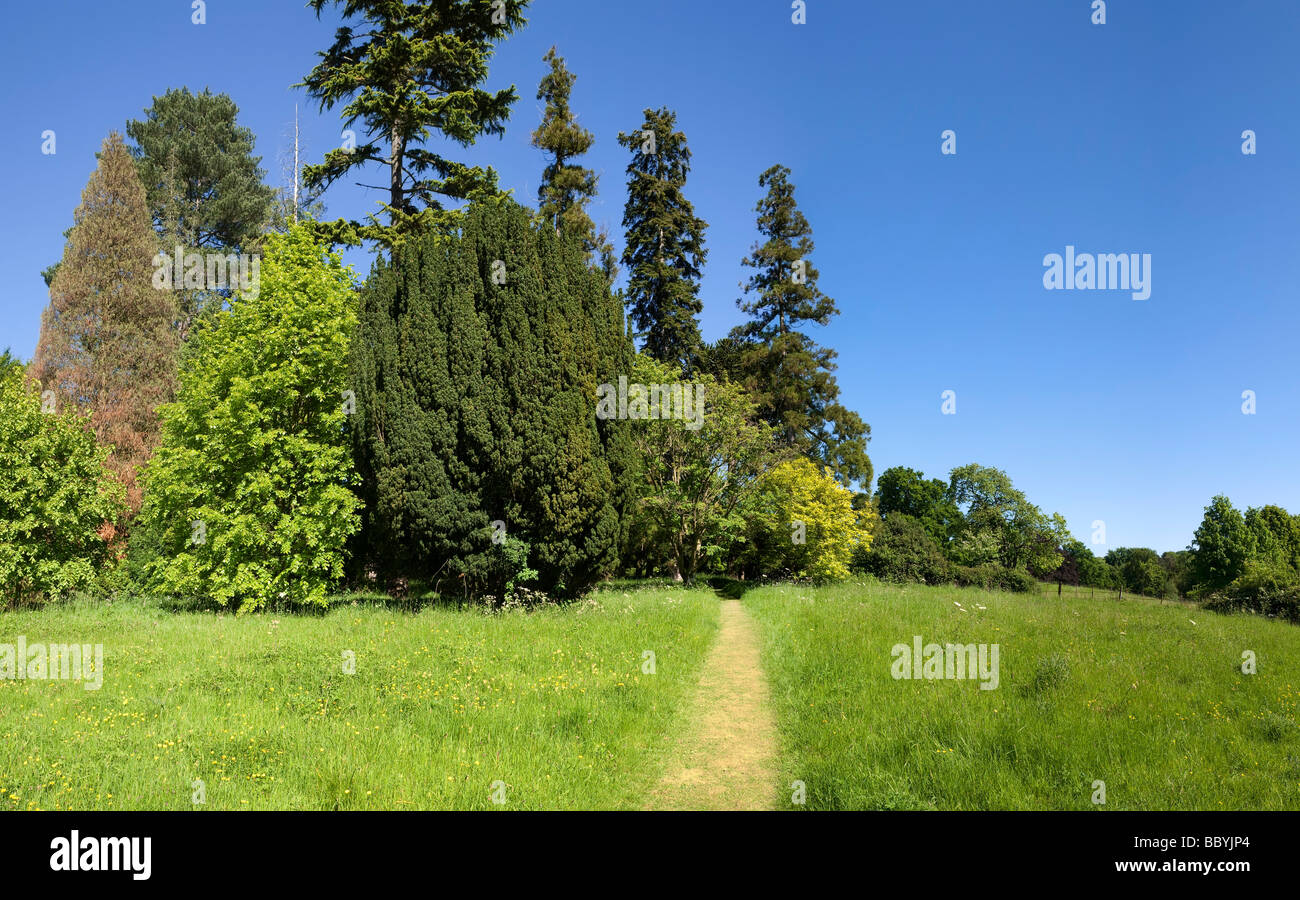 the grounds and gardens of a country estate Stock Photo - Alamy