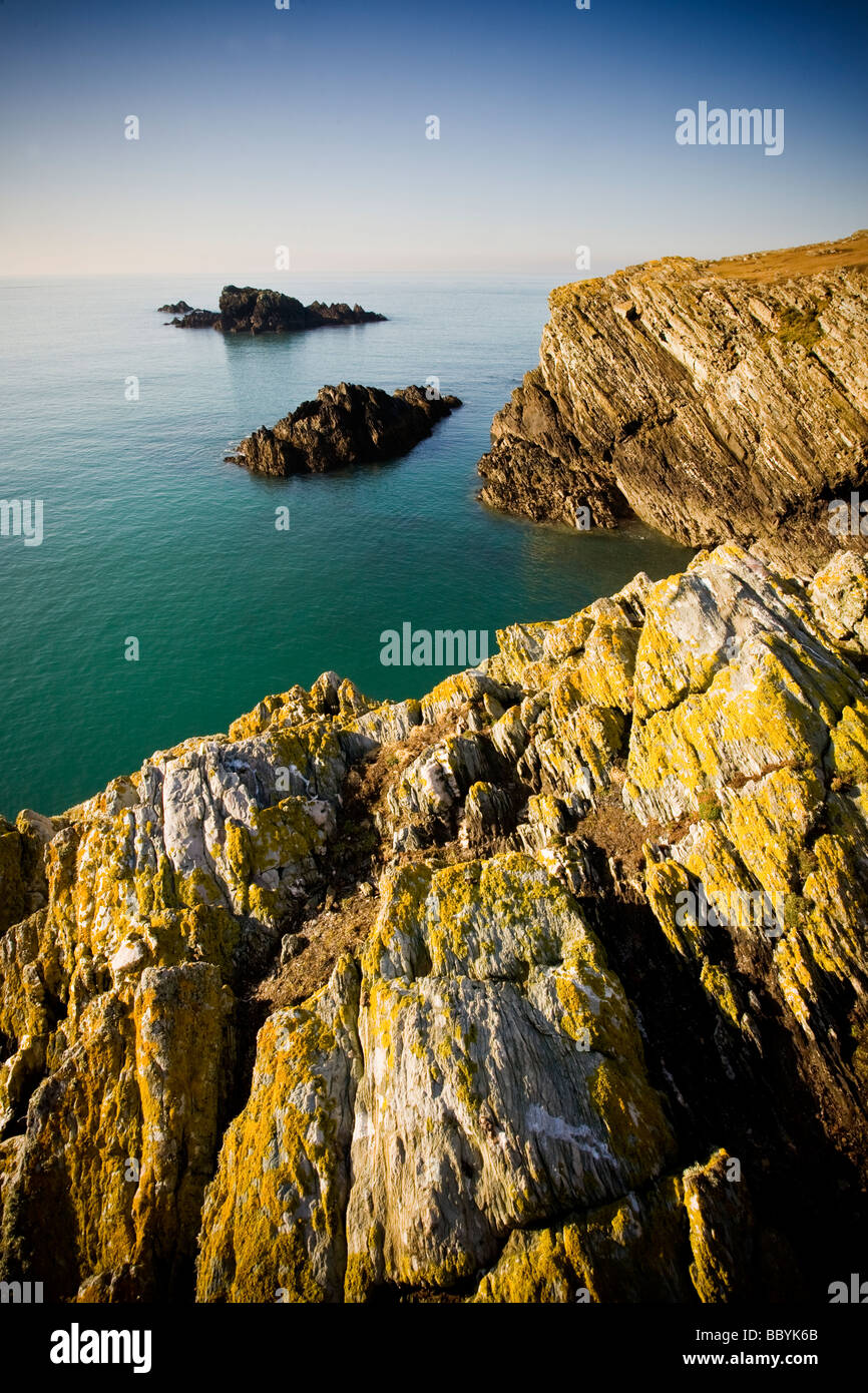 Sea cliffs, Rhoscolyn, Isle of Anglesey, Wales Stock Photo - Alamy